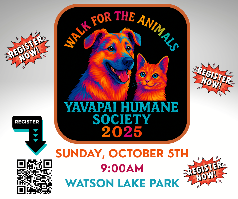 Yavapai Humane Society | Animal Shelter Prescott Yavapai County